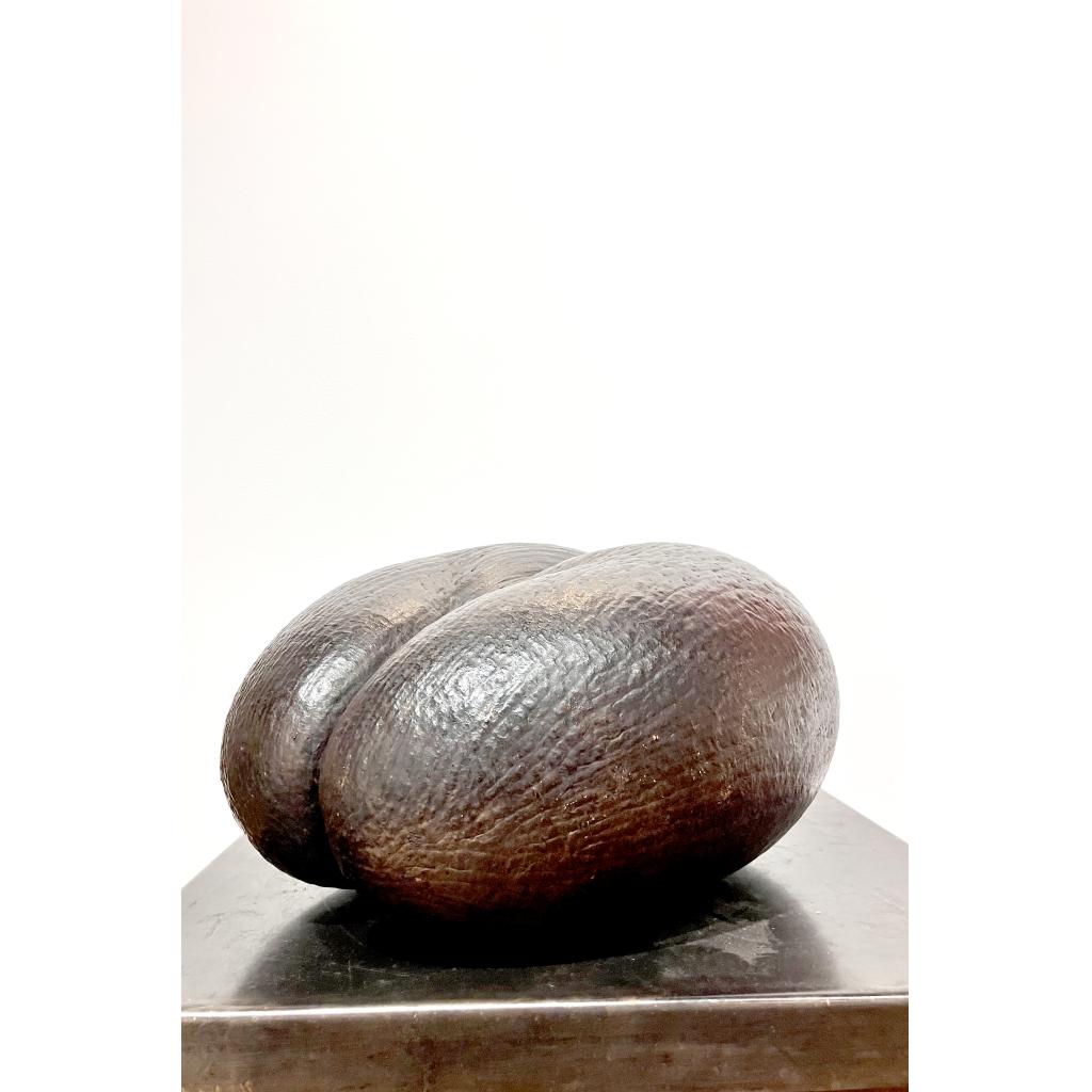 Coco De Mer, 19th Century Sculptural Seychelles Island Nut